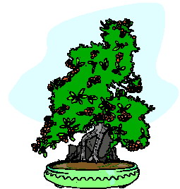 Bonsai Trees: Animated Images, Gifs, Pictures & Animations - 100% FREE!