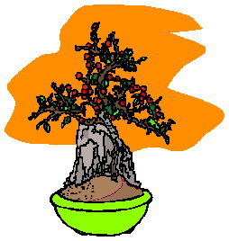 Bonsai Trees: Animated Images, Gifs, Pictures & Animations - 100% FREE!