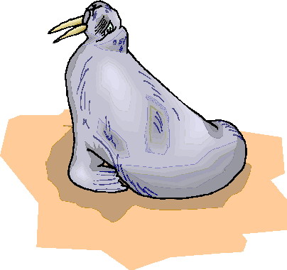 Walruses: Animated Images, Gifs, Pictures & Animations - 100% FREE!