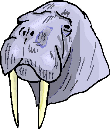 Walruses: Animated Images, Gifs, Pictures & Animations - 100% FREE!